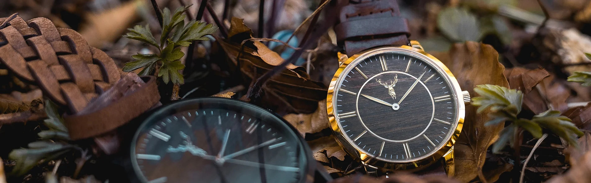 Watches – Timber&John